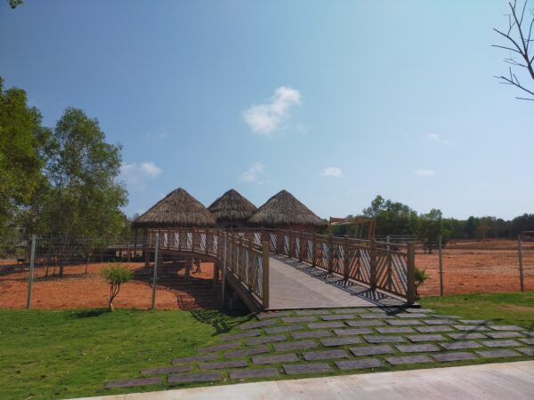Ferino - Đối tác thi công sàn gỗ nhựa cho công viên Safari Phan Thiết
